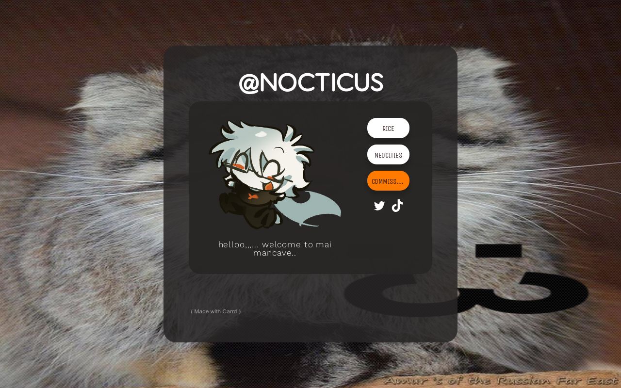 nocticus